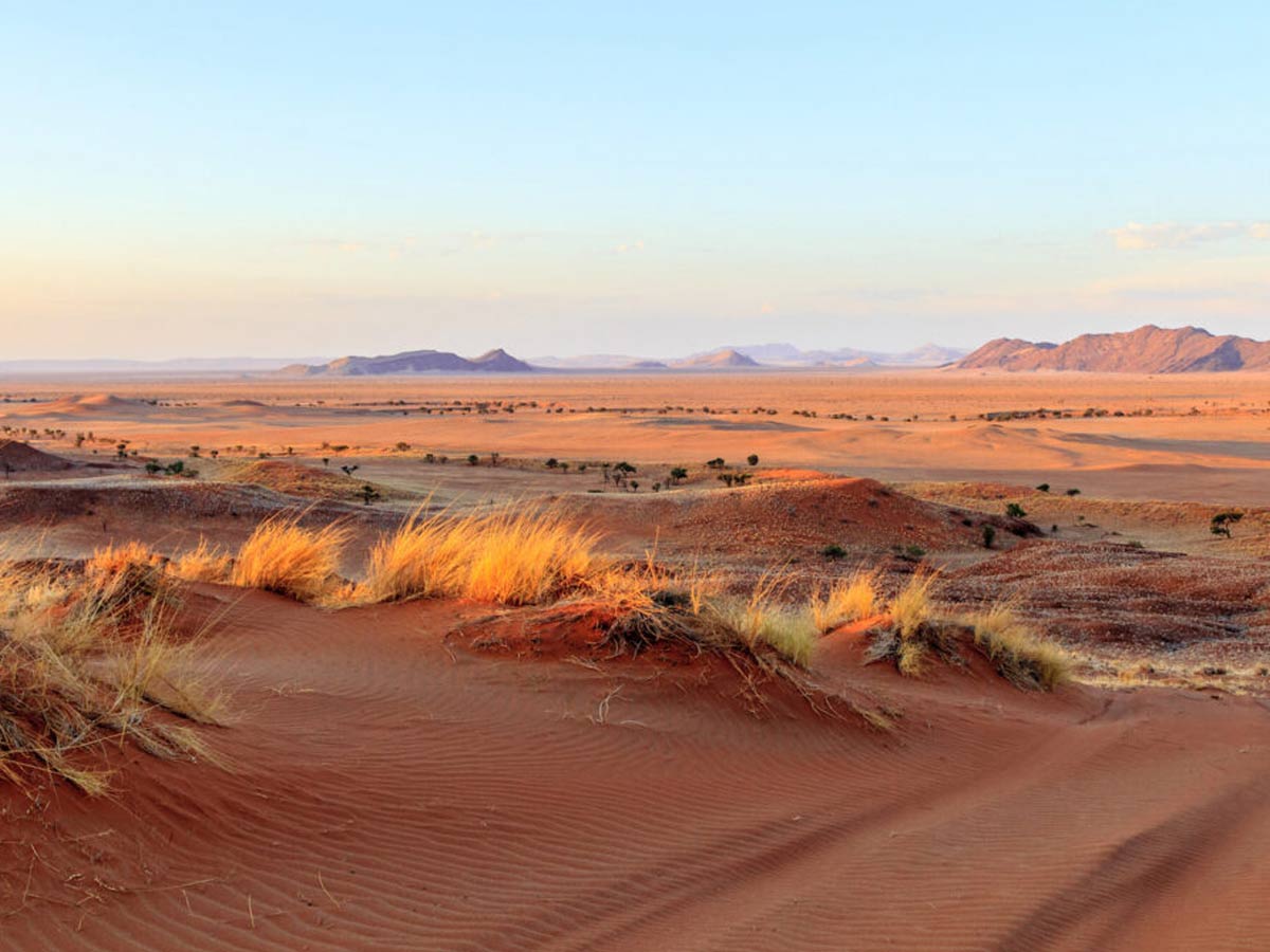 The best of Namibia and beyond – Global Aviator